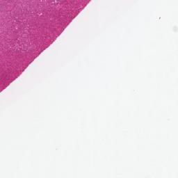 Histology at Yale Virtual Microscope