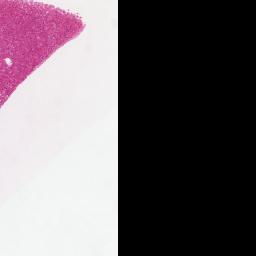 Histology at Yale Virtual Microscope