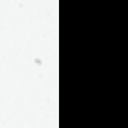 Histology at Yale Virtual Microscope