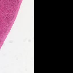 Histology at Yale Virtual Microscope